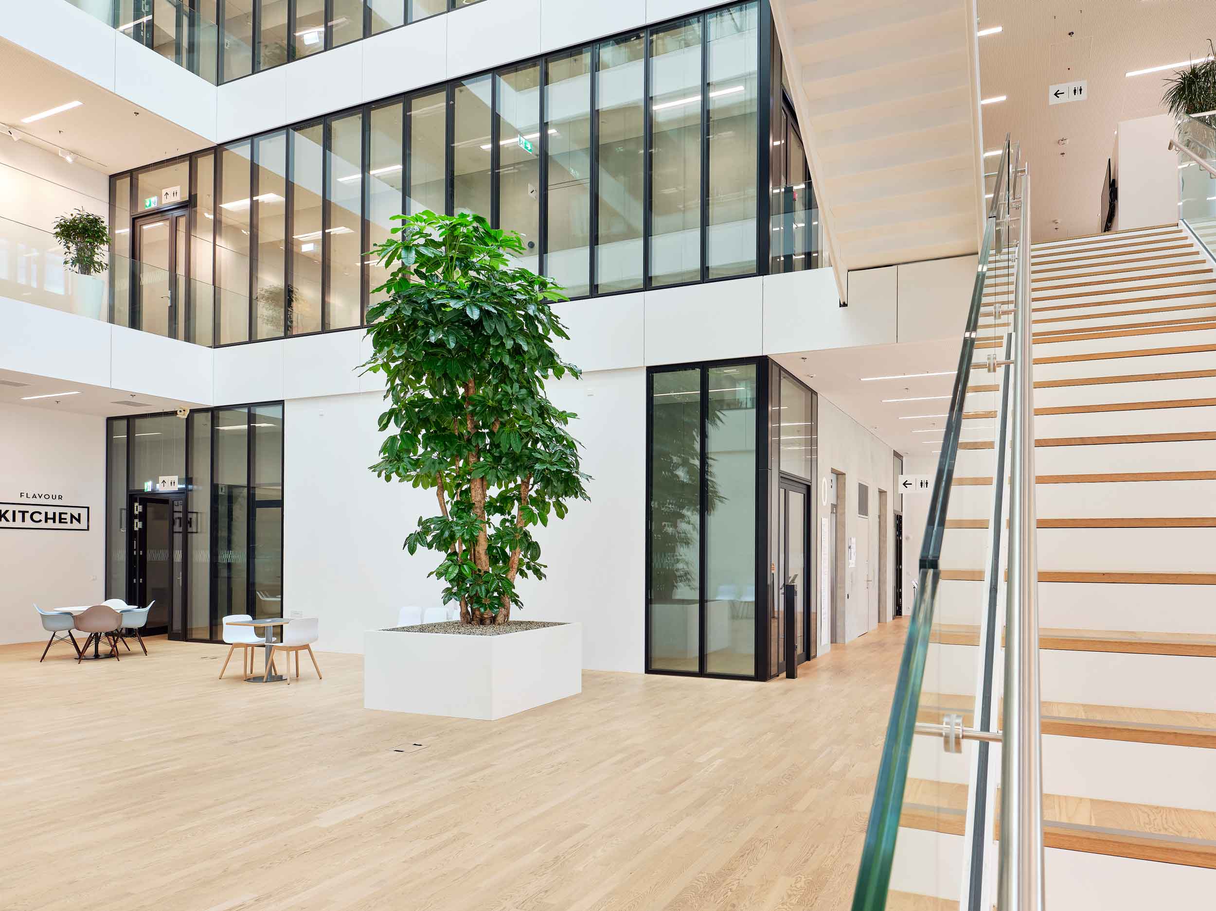 sitem-insel, Bern - Luwasa greenstyling