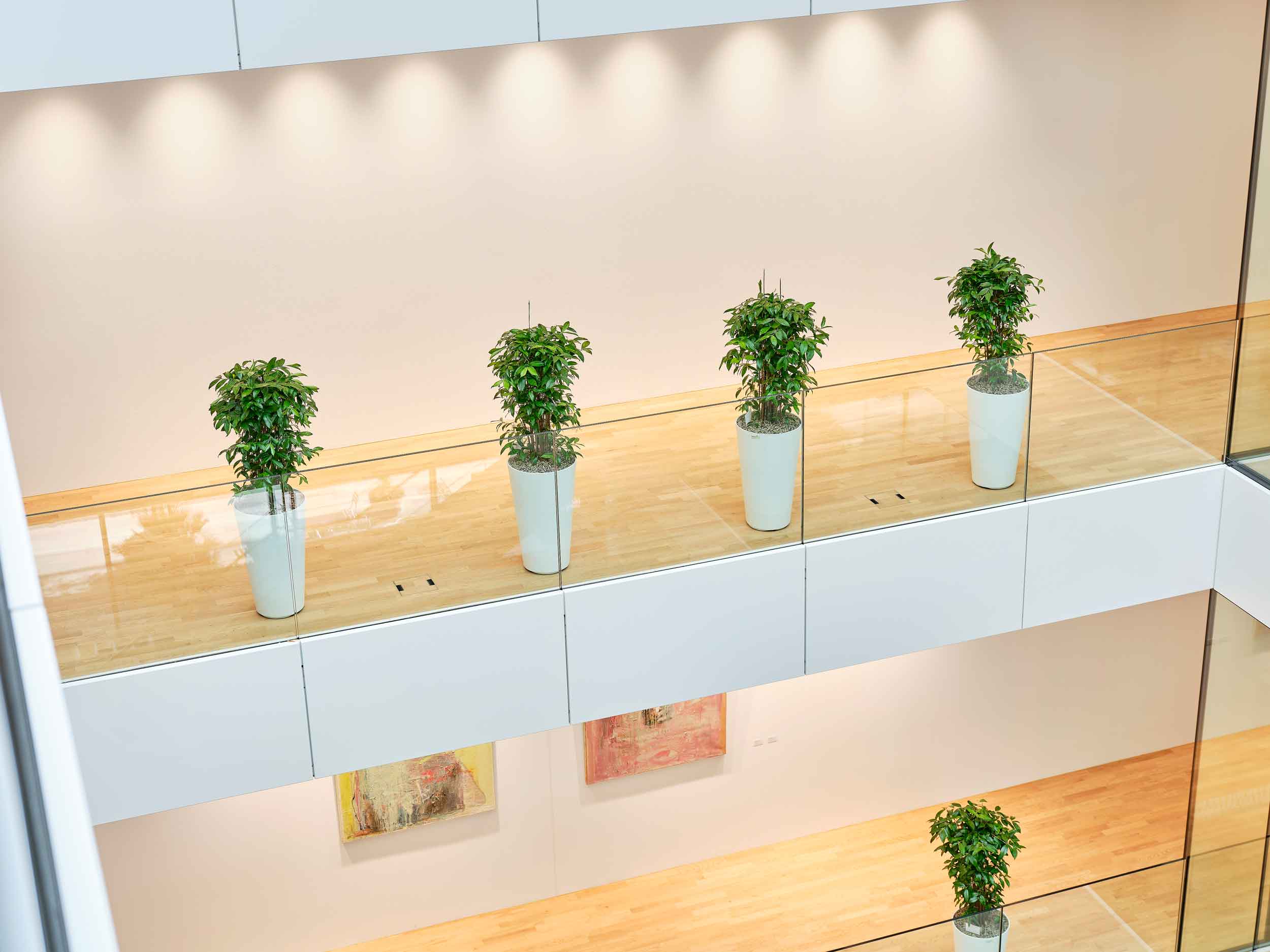 sitem-insel, Bern - Luwasa greenstyling