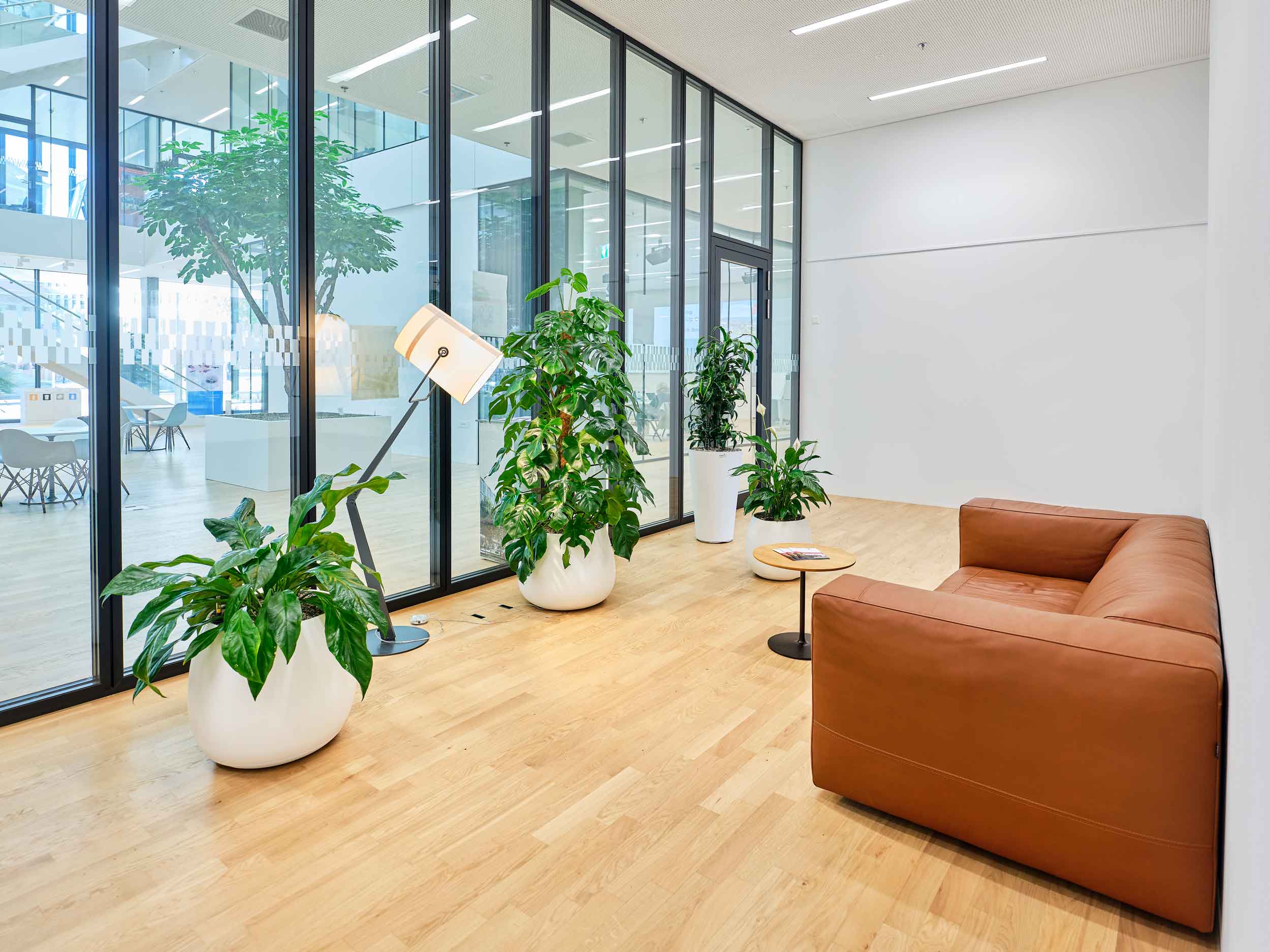 sitem-insel, Bern - Luwasa greenstyling