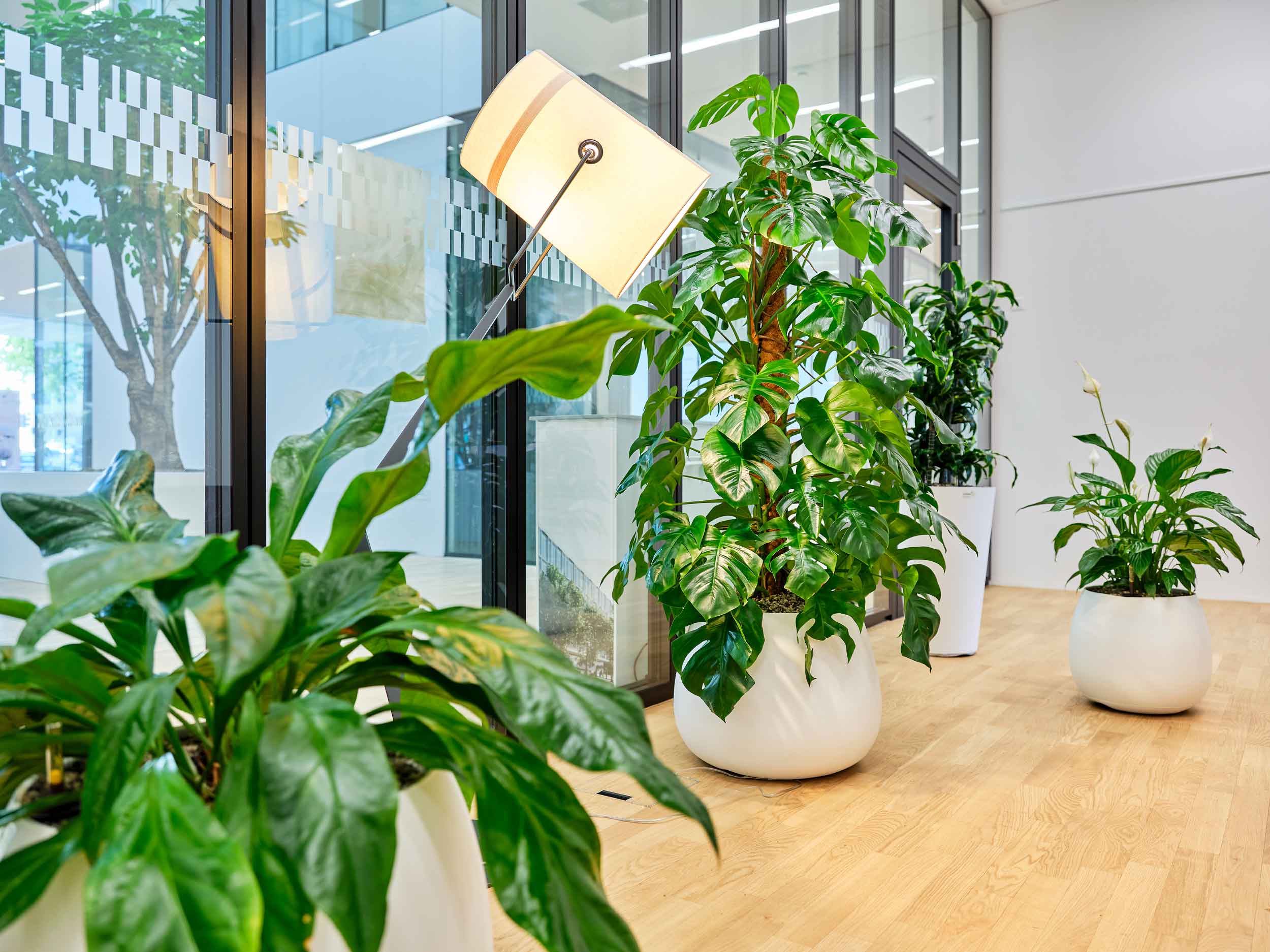 sitem-insel, Bern - Luwasa greenstyling