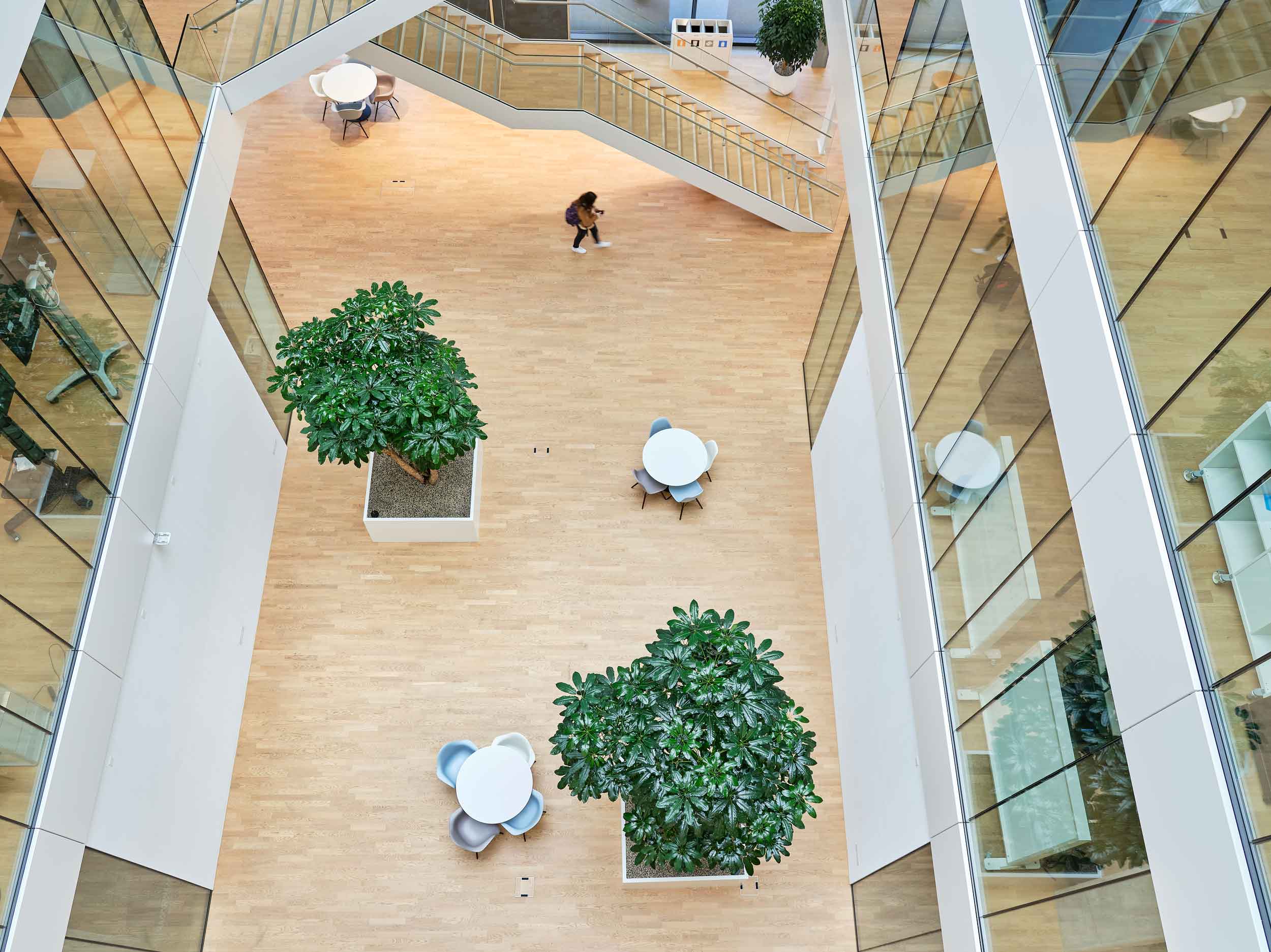 sitem-insel, Bern - Luwasa greenstyling