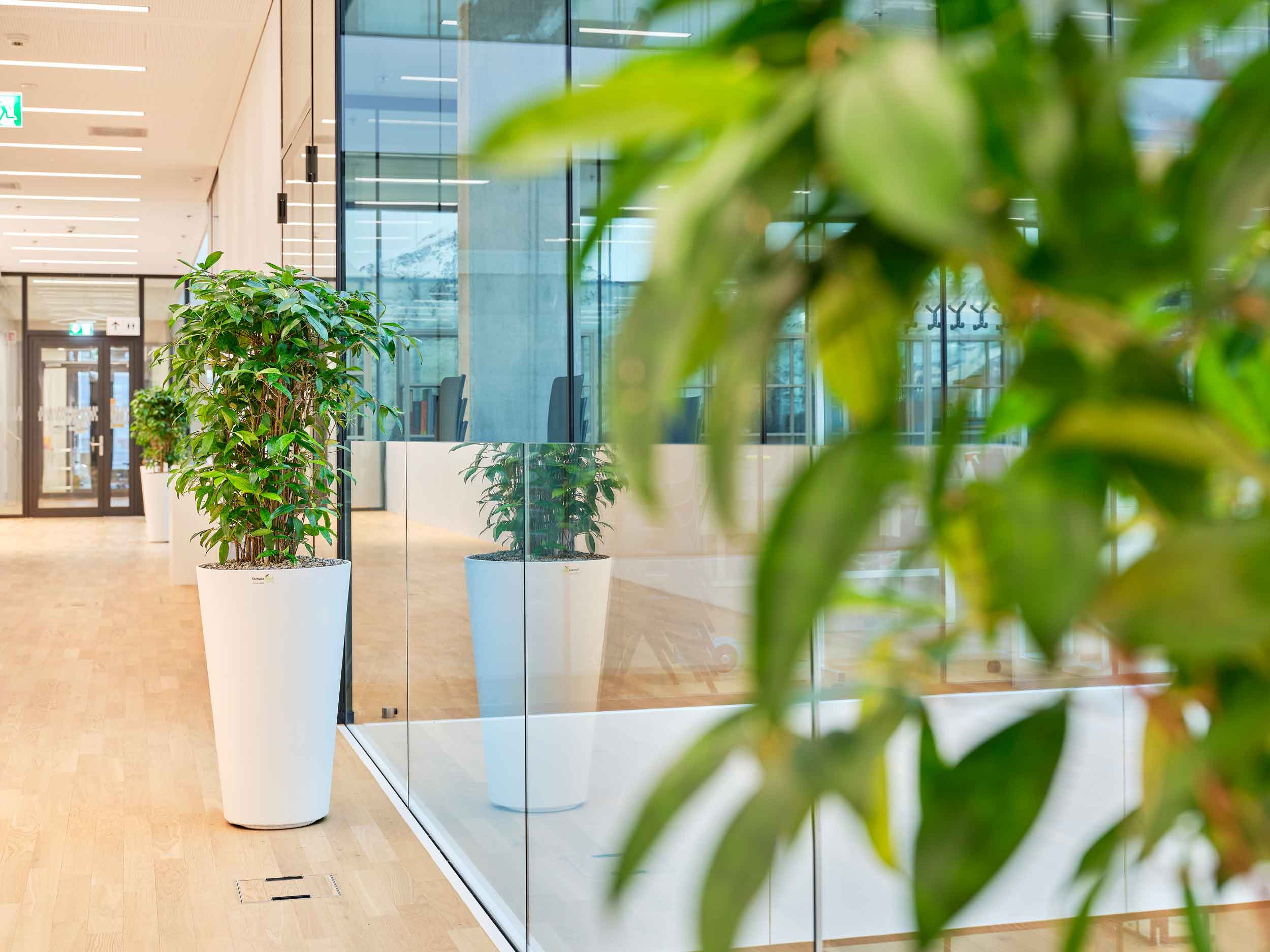 sitem-insel, Bern - Luwasa greenstyling