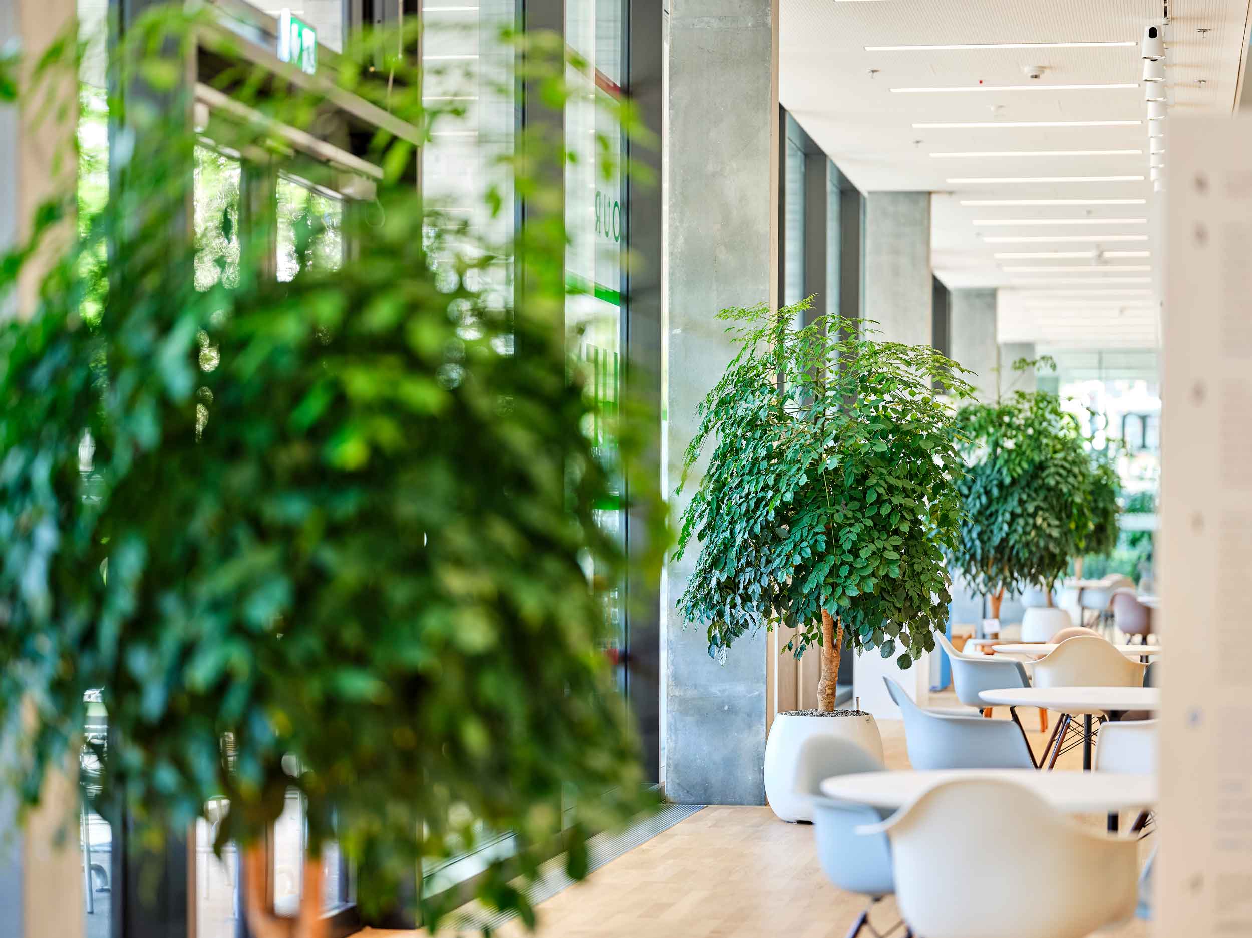 sitem-insel, Bern - Luwasa greenstyling